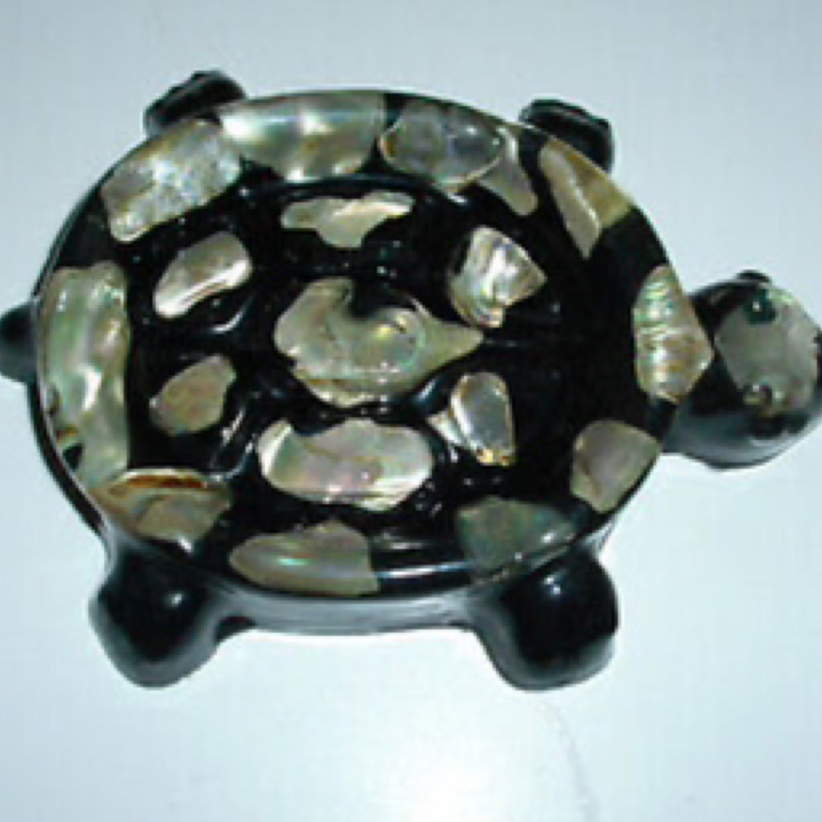 Black resin and Abalone shell turtle shaped dish | Ash and Fir “Medical ...